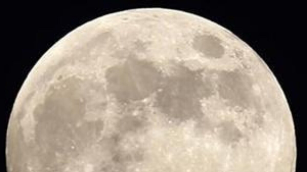 'Worm Moon' Reaches its Peak: All You Need to Know - News18