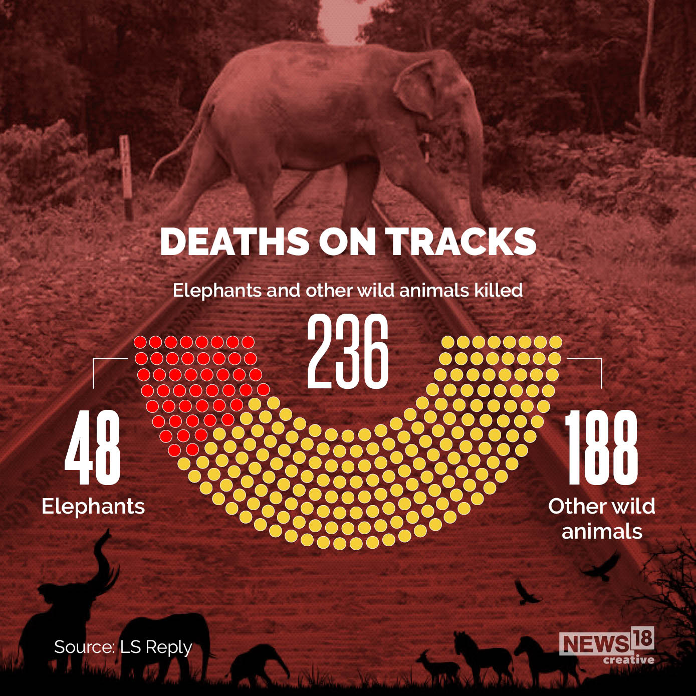 As Animal Deaths on Railway Tracks Rise, A Look at Numbers and Place of ...