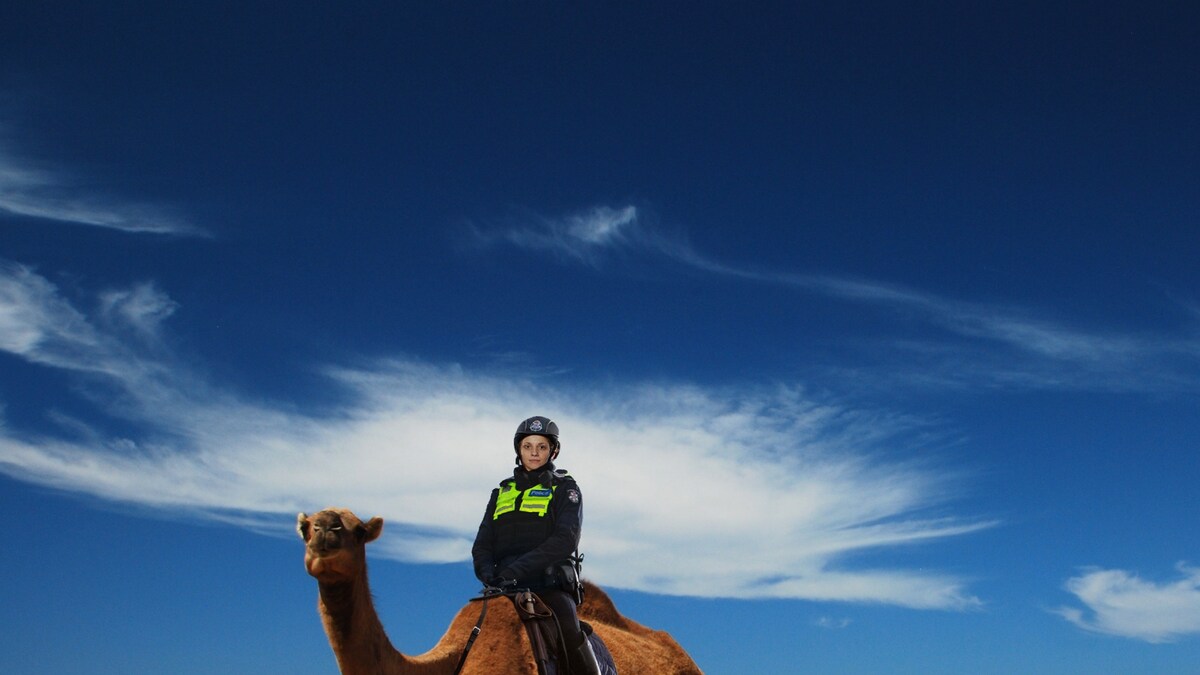 Australian Police Owns April Fool's Day by Showing Off New Camel ...
