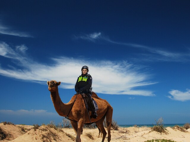 Australian Police Owns April Fool's Day by Showing Off New Camel ...