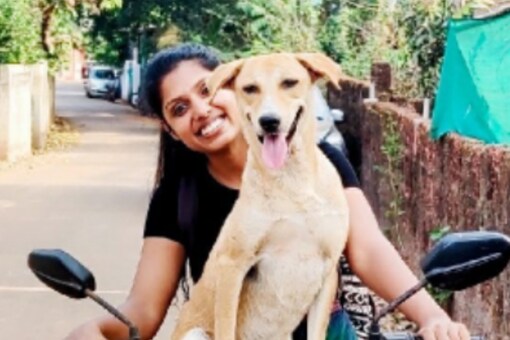 Adorable Dog from Goa Takes Random Rides with Travelers, Take a Sneak ...