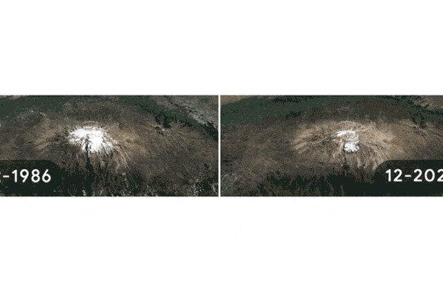 Google Doodle For Earth Day To Remind Us The Damage We Have Done To ...