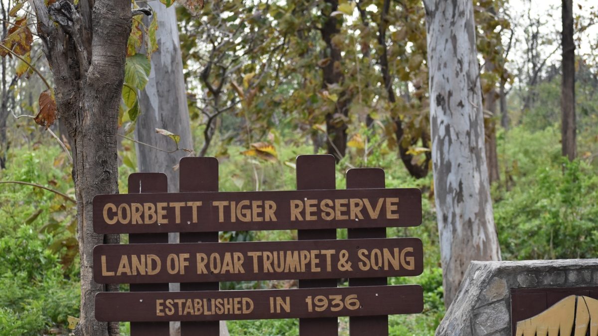Jim Corbett Death Anniversary: Interesting Facts About the Hunter Who ...
