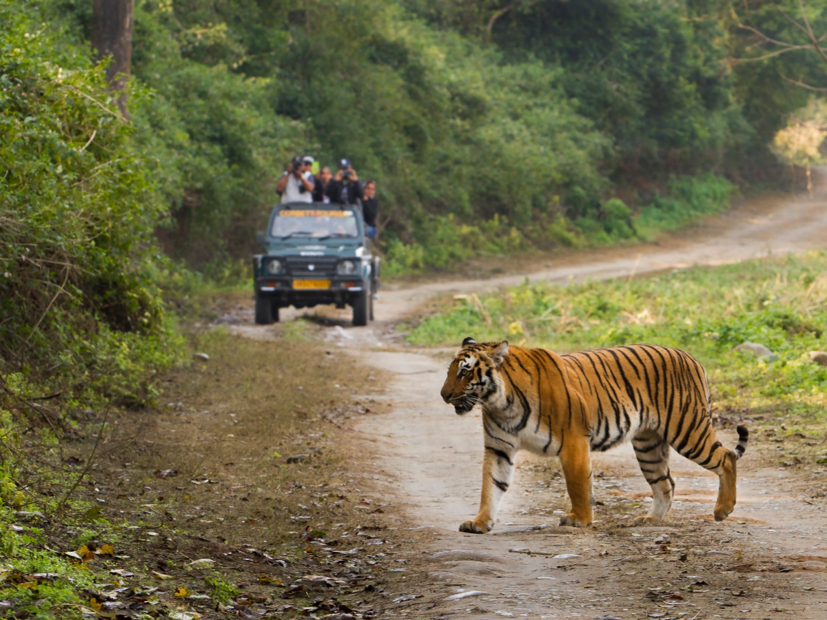 Jim Corbett Death Anniversary: Interesting Facts About the Hunter Who ...