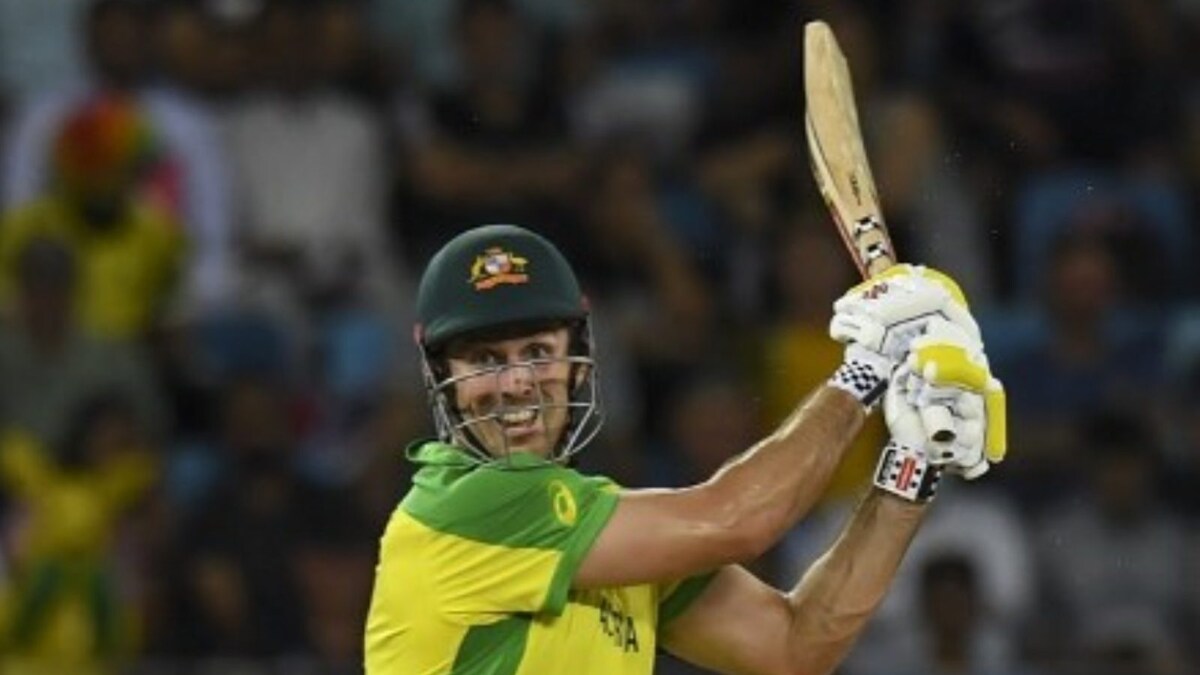 T20 World Cup: I Told Cameron Green to Calm Down And Wait For His Turn ...