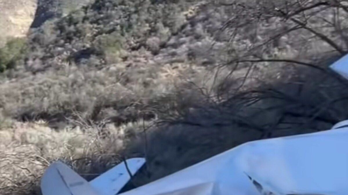 YouTuber Deliberately Crashes Plane to Take Off With Views, Grounded ...