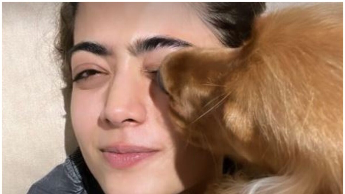 Rashmika Mandanna Reveals Her Skincare Regimen Involves Saliva Face ...