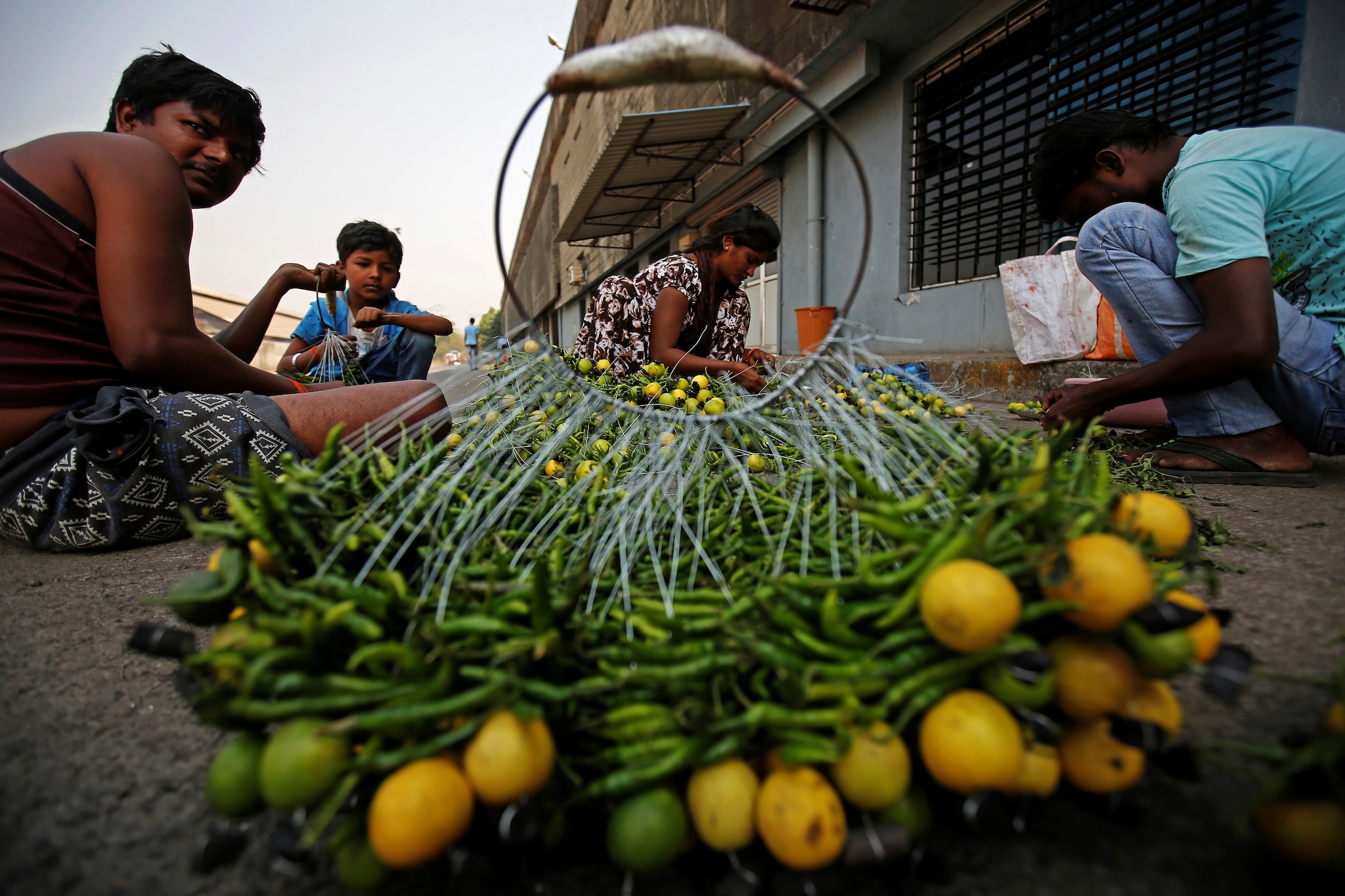 Journeying from Lemon Orchard to 'Thela' to Understand Why Sour Fruit ...