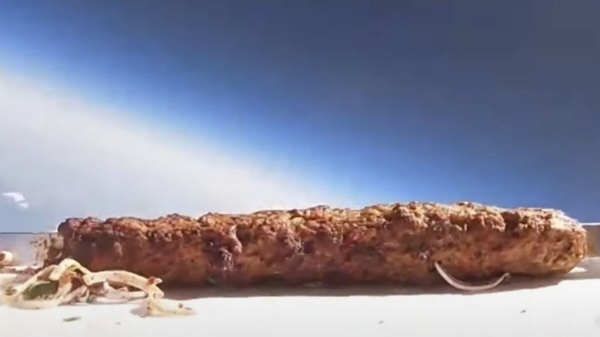 Steaks are High: Man Launches Turkey's Famous Adana Kebab Into Space ...