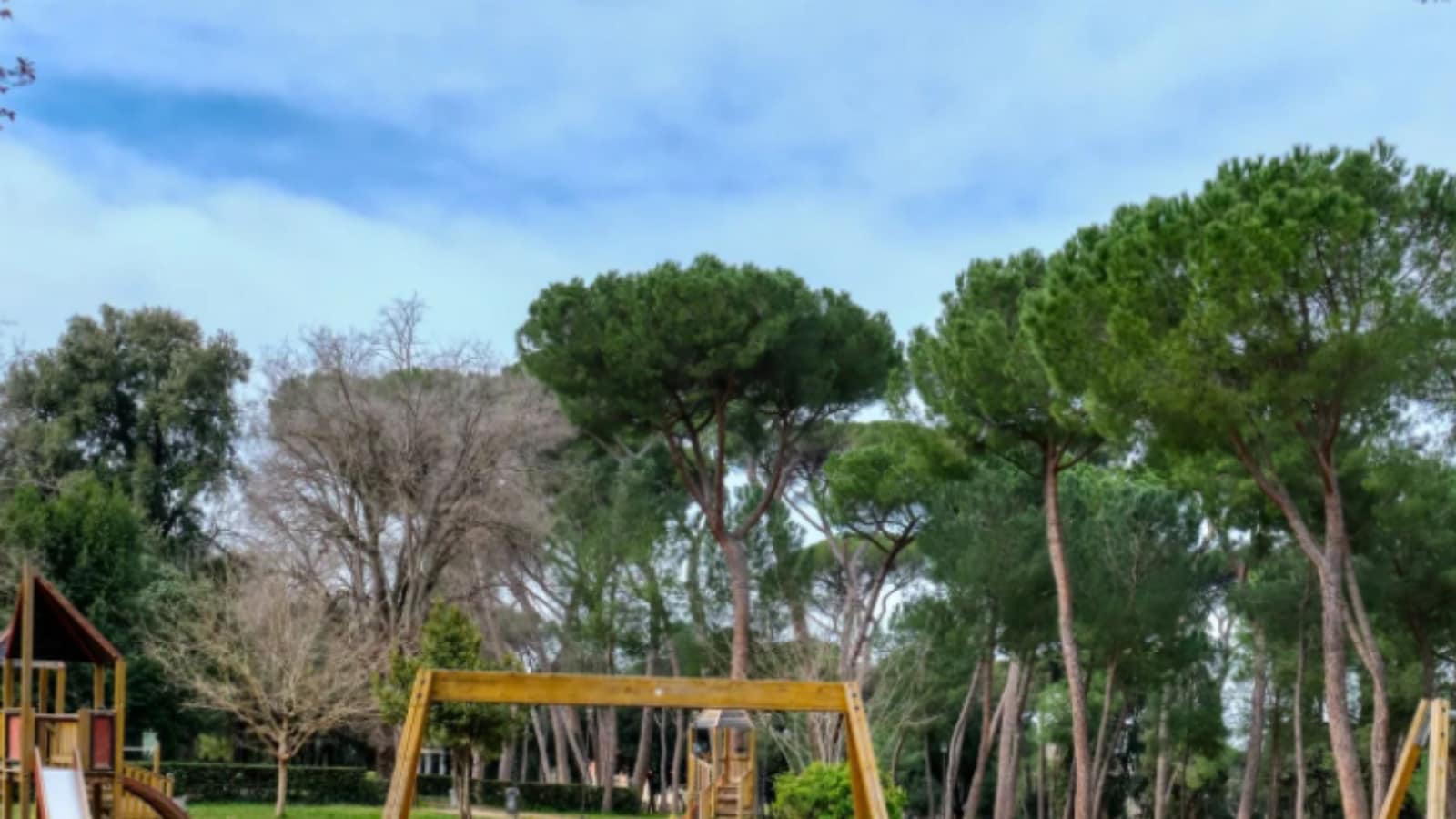 Mumbai Recognised as 'Tree City of the World' for Maintaining Urban ...