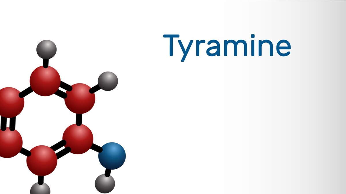 Tyramine: What is it? Know About the Pros and Cons of its Consumption ...