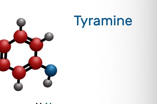 Tyramine: What is it? Know About the Pros and Cons of its Consumption ...