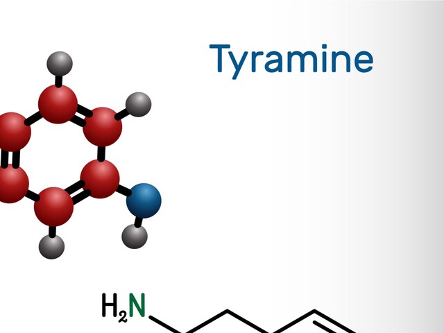 Tyramine: What is it? Know About the Pros and Cons of its Consumption ...