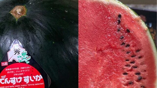 World’s Rarest Watermelon in Japan Was Priced Rs 4.5 Lakh in 2019 ...
