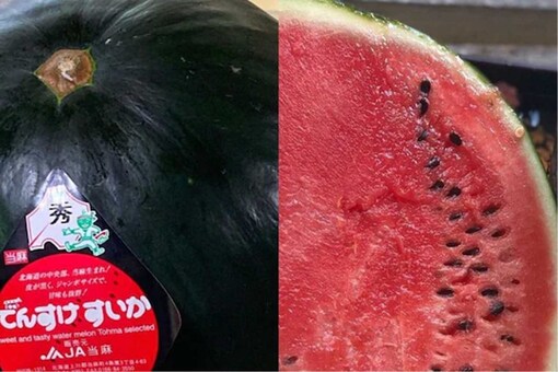 World’s Rarest Watermelon in Japan Was Priced Rs 4.5 Lakh in 2019 ...