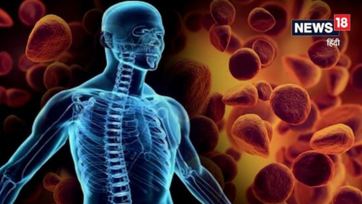 Physical Therapy To Exercise, 5 Ways to Deal With Muscle Weakness - News18