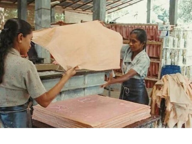 This Man Makes Paper Out of Elephant Poop - News18