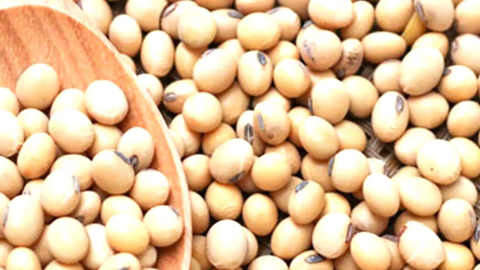 Eat Your Way To Lustrous, Thick Hair With These Superfoods | Lifestyle ...