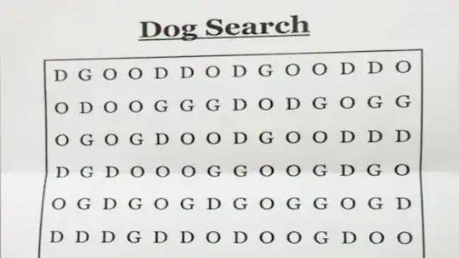 Can You Spot ‘Dog’ in This Word Search Dubbed ‘Hardest in The World ...