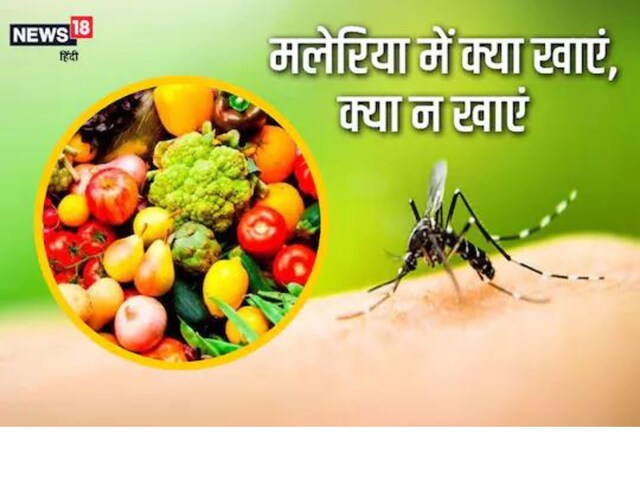 World Malaria Day 2022: What To Eat While Recovering From Malaria - News18