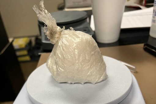 Dog Stumbles upon Methamphetamine Stash While Playing Fetch - News18