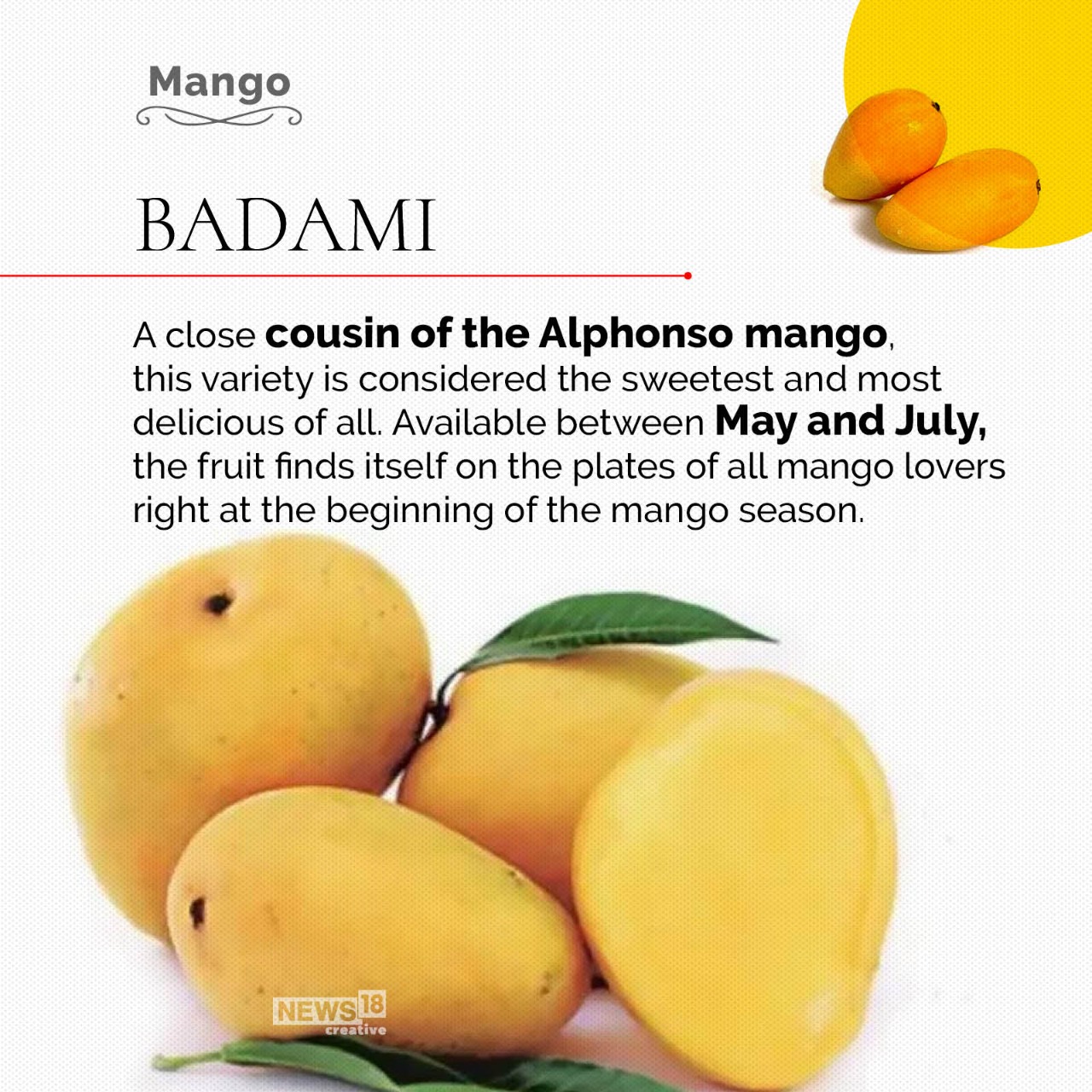 Mango Season is Here! Juicy Facts about the Summer Fruit That You Must ...