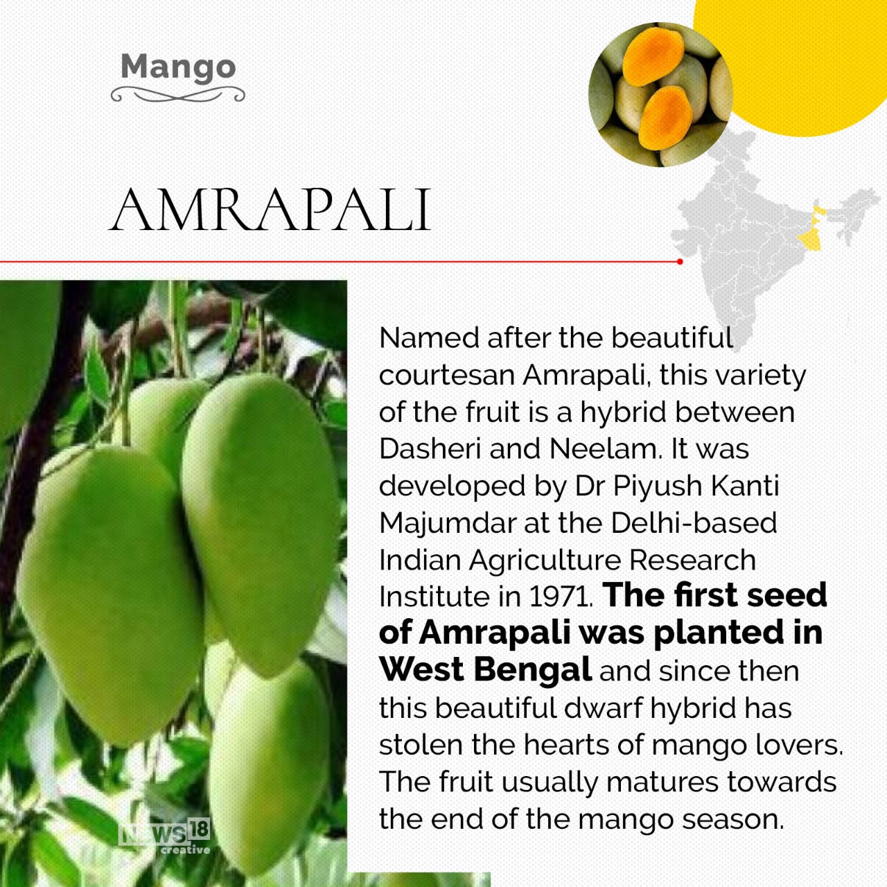 Mango Season is Here! Juicy Facts about the Summer Fruit That You Must ...