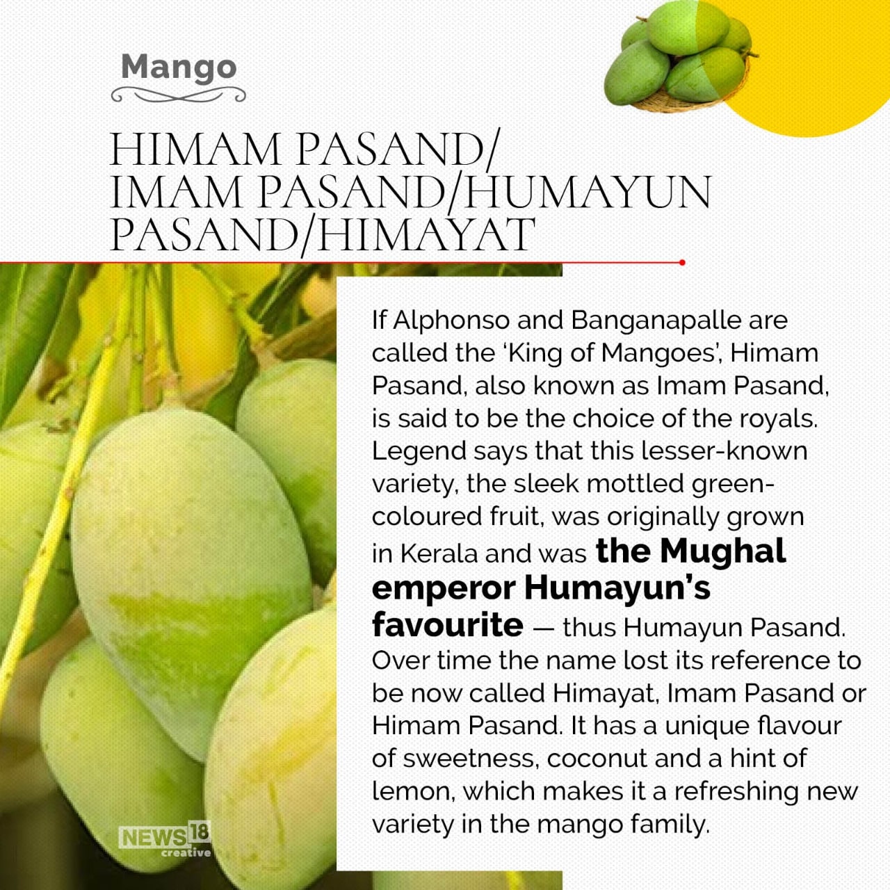 Mango Season is Here! Juicy Facts about the Summer Fruit That You Must ...