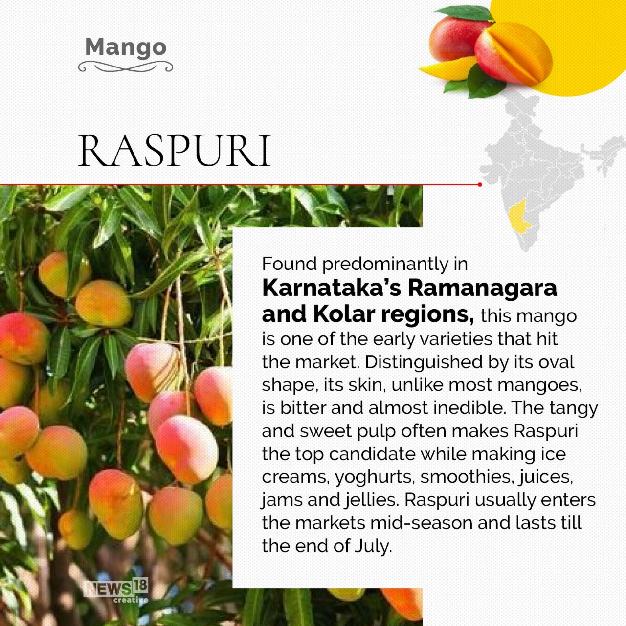 Mango Season is Here! Juicy Facts about the Summer Fruit That You Must ...