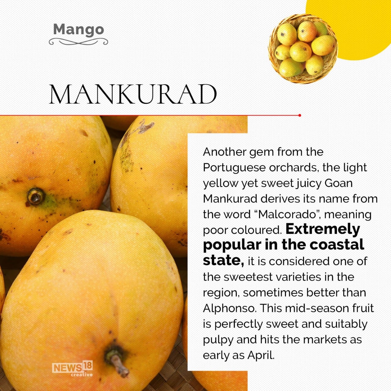 Mango Season is Here! Juicy Facts about the Summer Fruit That You Must ...