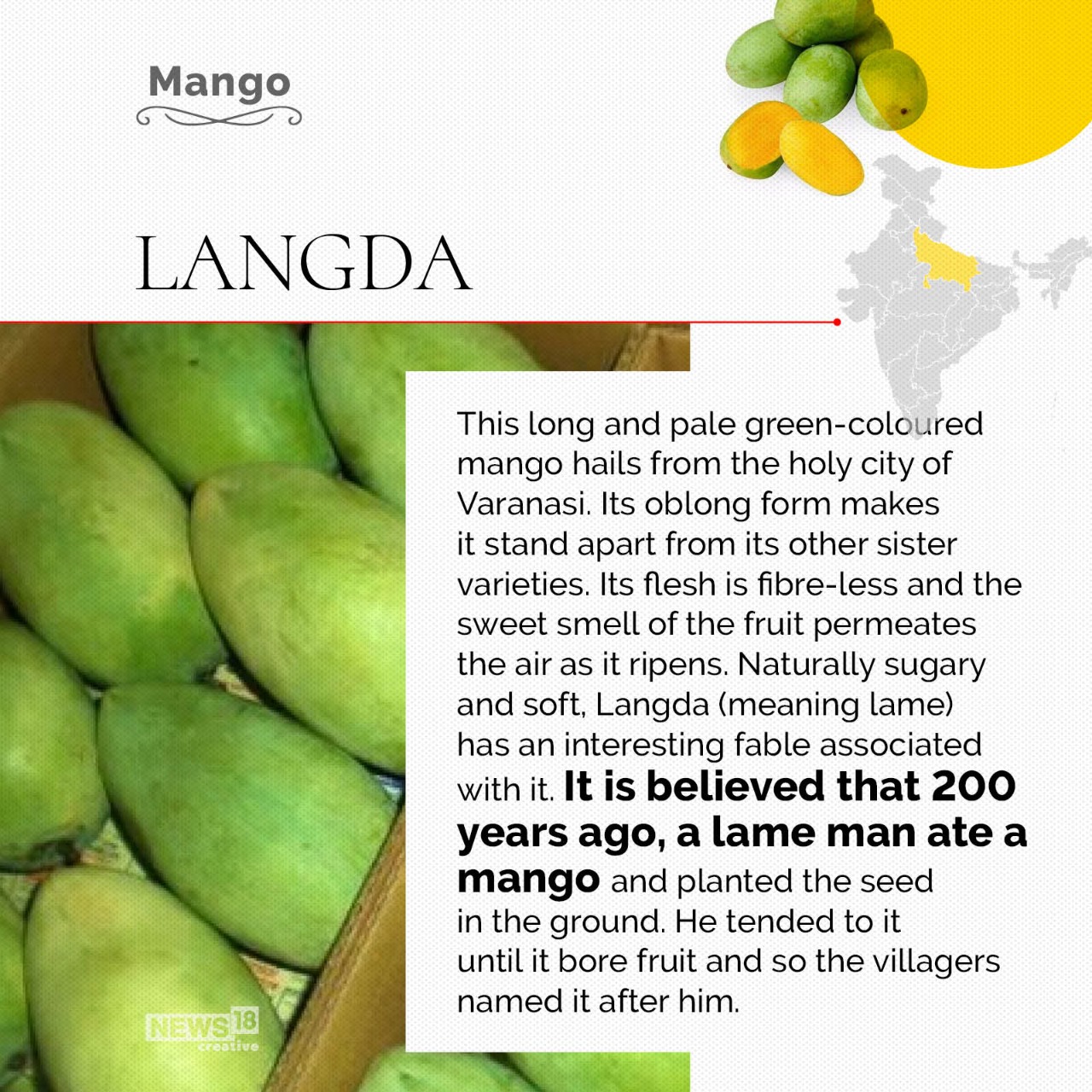 Mango Season is Here! Juicy Facts about the Summer Fruit That You Must ...