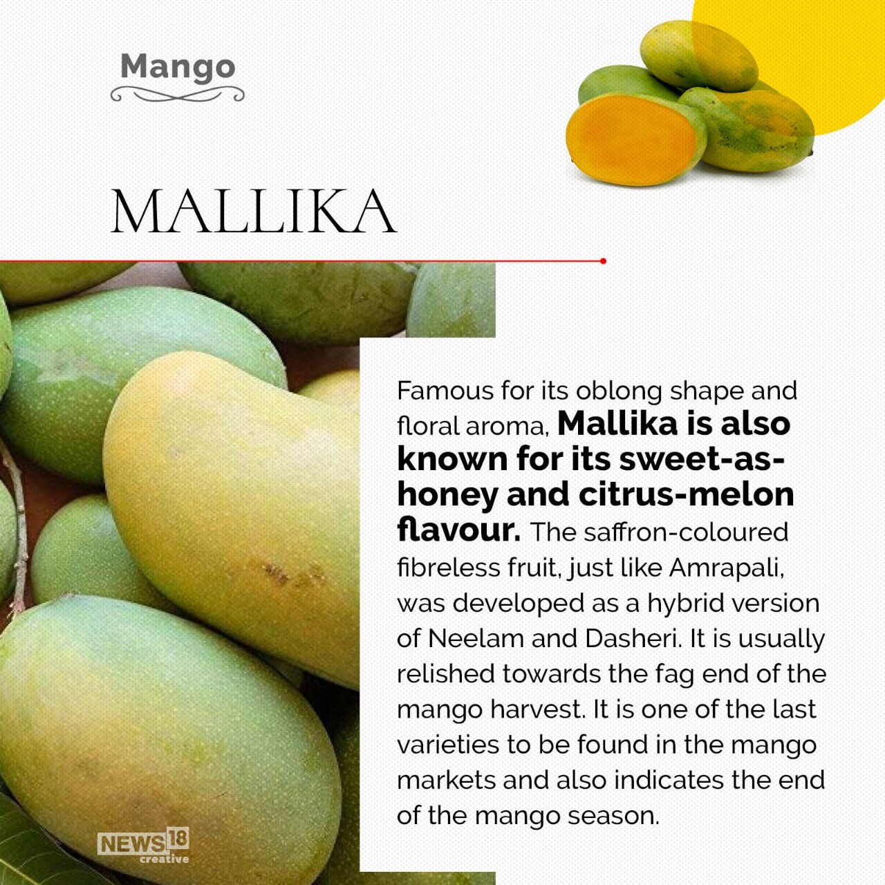 Mango Season is Here! Juicy Facts about the Summer Fruit That You Must ...
