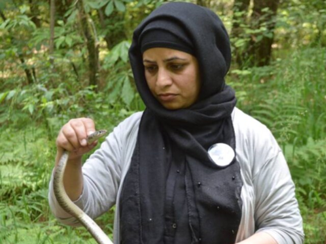 Fang-tastic Beasts: As Snakebites Surge in Kashmir, One Woman Tries to ...
