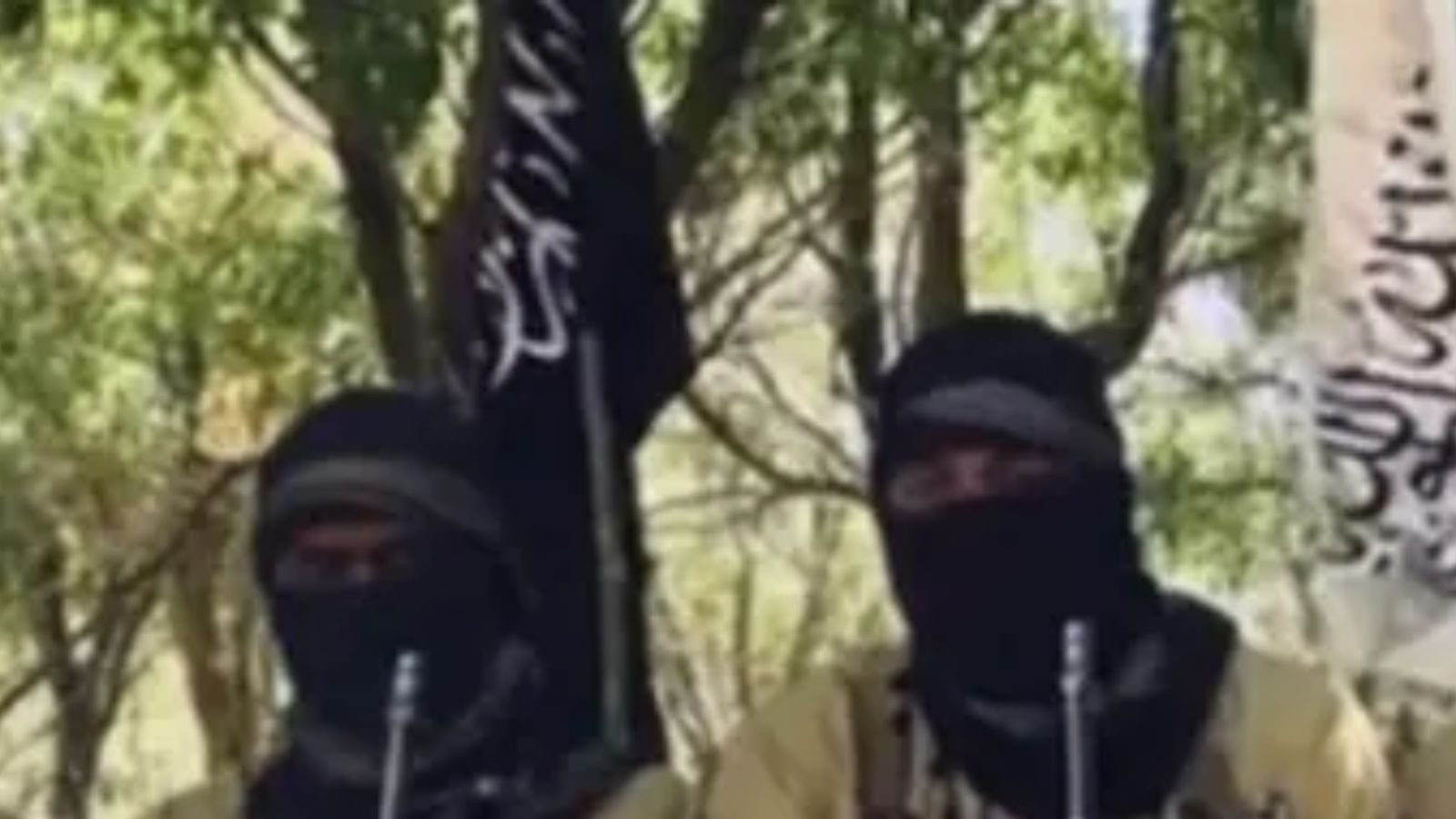 EXCLUSIVE | How Al-Qaeda is Still Active in India; Fresh Arrests Throw ...