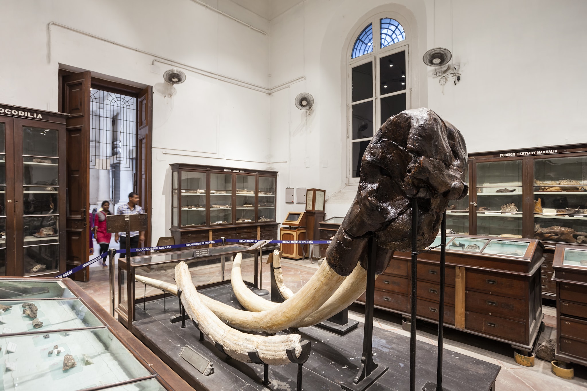 International Museum Day 2023: Famous Museums in India Exhibiting ...