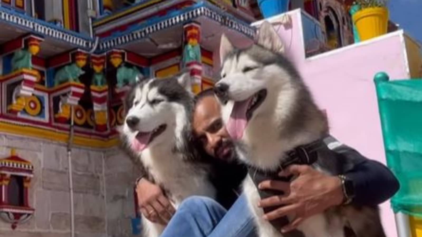 Noida Blogger Who Took Pet Dog to Kedarnath Writes to PM Modi after ...