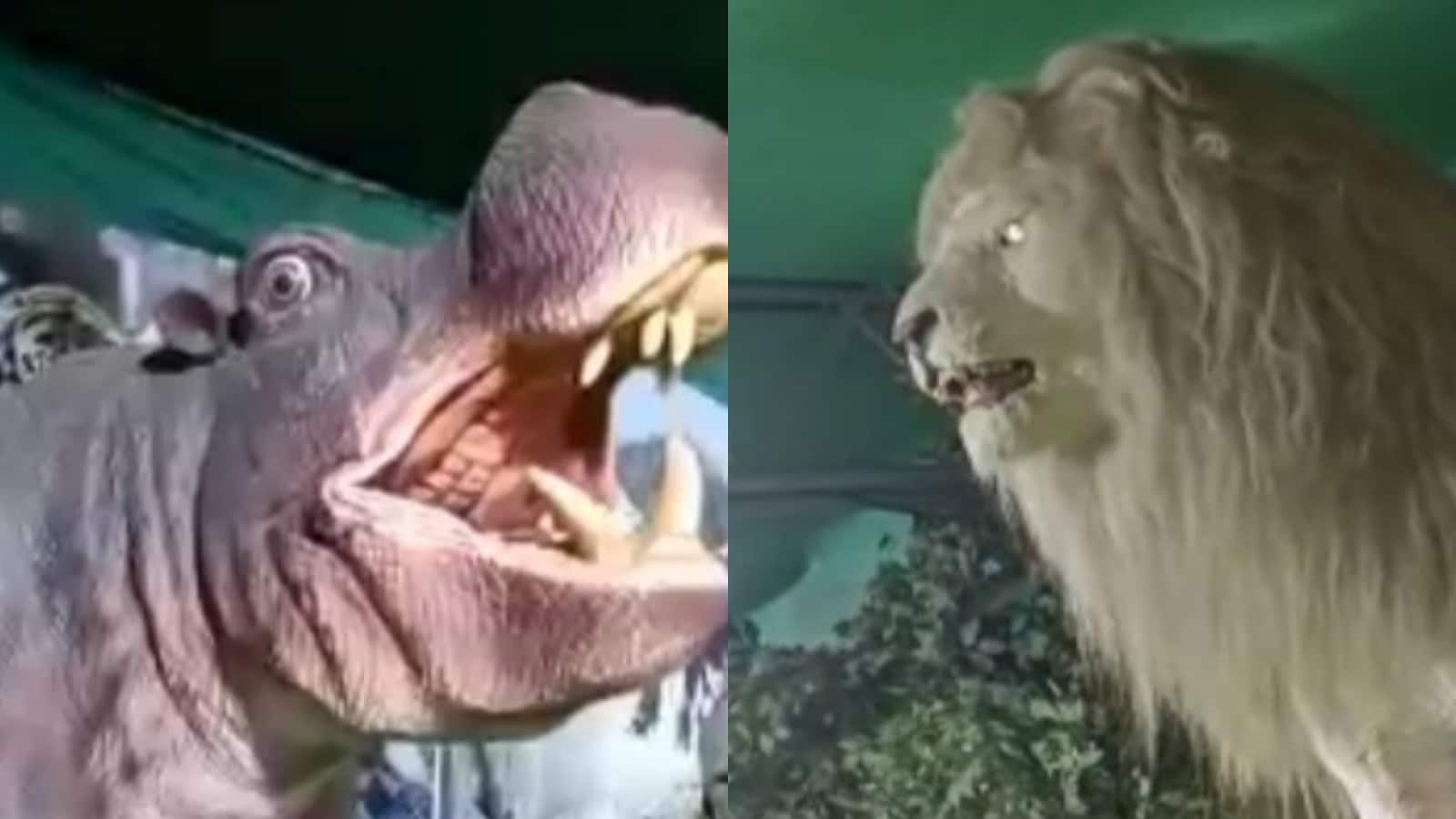 Robotic Zoo in AP Lets You Get Up Close and Personal With Giant ...