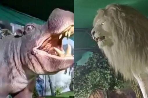 Robotic Zoo in AP Lets You Get Up Close and Personal With Giant ...