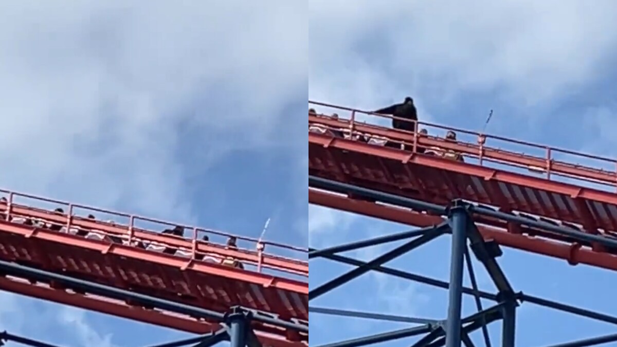 Riders Left Hanging at 235ft in Air after Roller Coaster Malfunctions ...