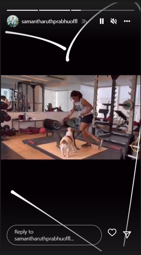 Samantha Ruth Prabhu Shares Her Secret to Staying Happy as Pet Dogs ...