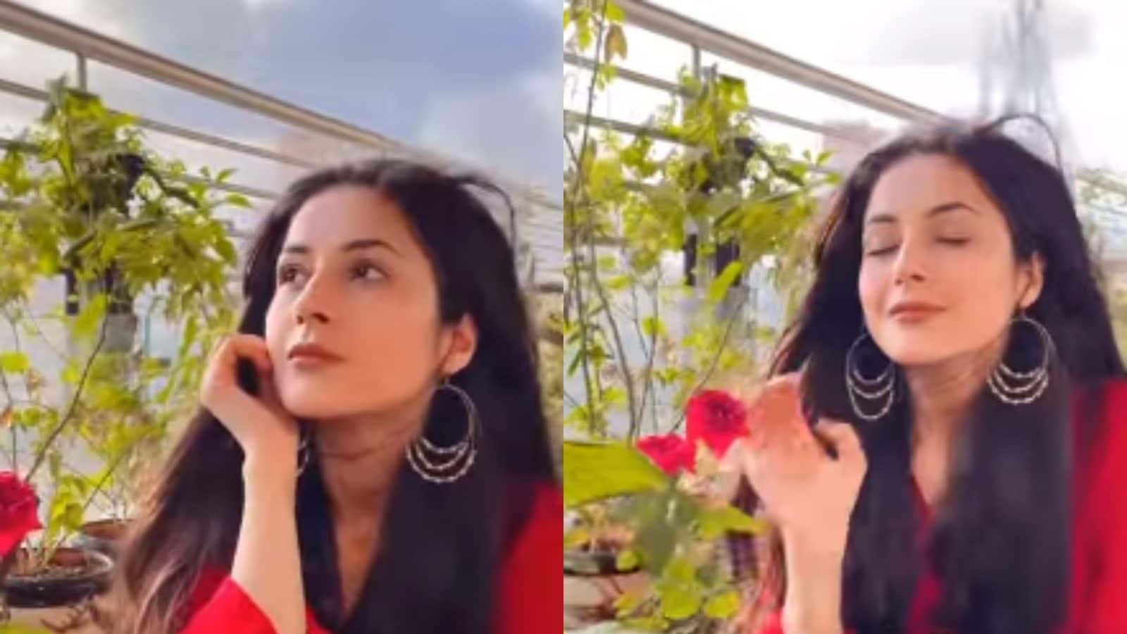 Shehnaaz Gill Sends Instagram into Frenzy As She Dances to Viral ...