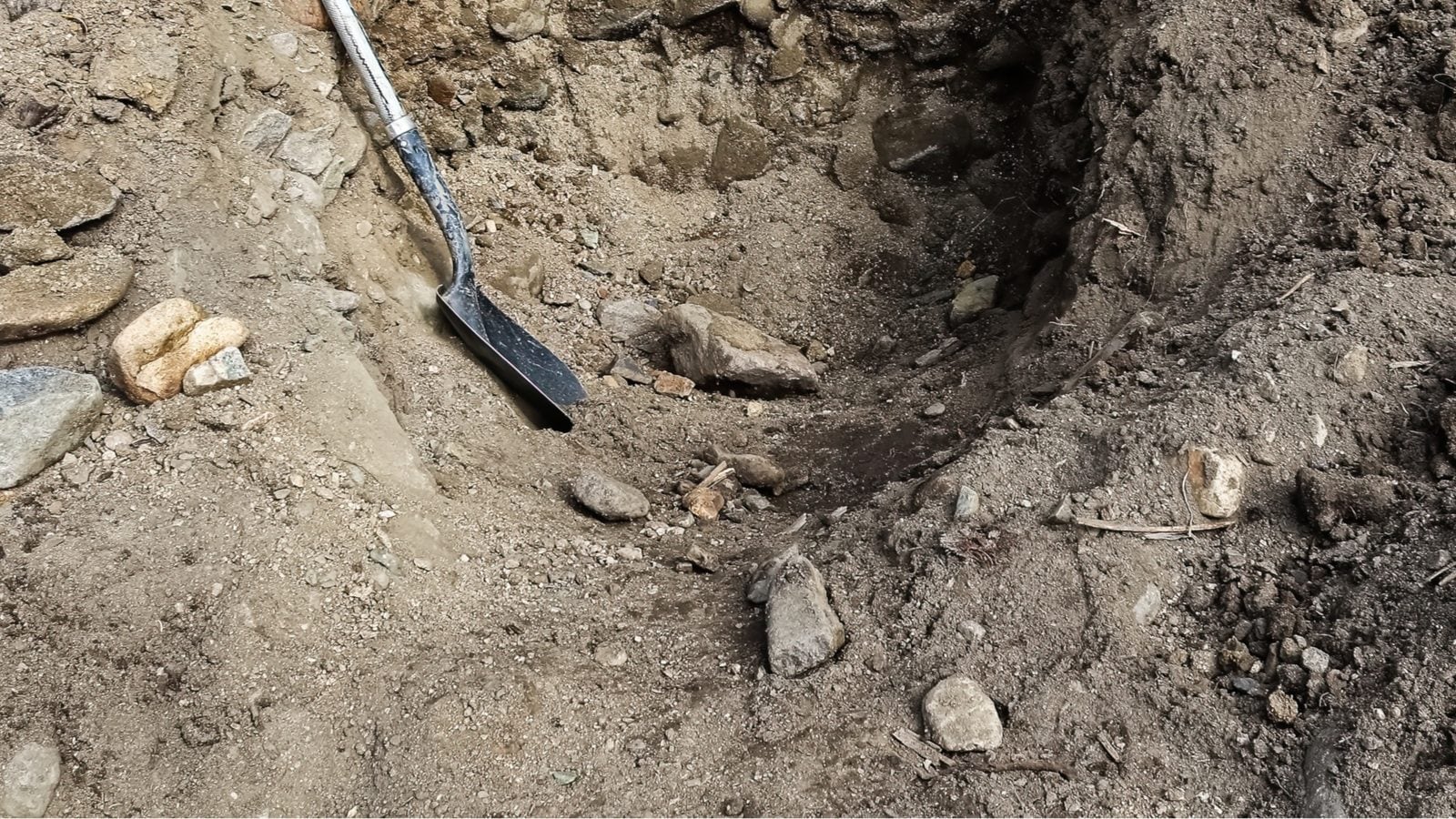 More Than 100 Dead In Northern Africa's Chad In Clashes Between Gold ...