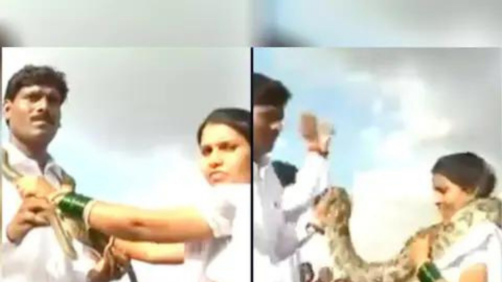Video of Bride-Groom Exchanging Snake Garlands Resurfaces, Internet is Horrified | Buzz News ...