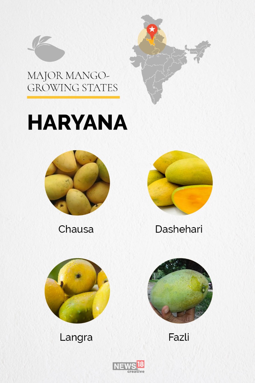 Love Mangoes? Here's The Mango Map of India - News18