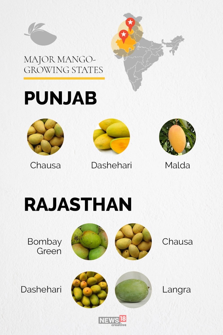 Love Mangoes? Here's The Mango Map of India - News18