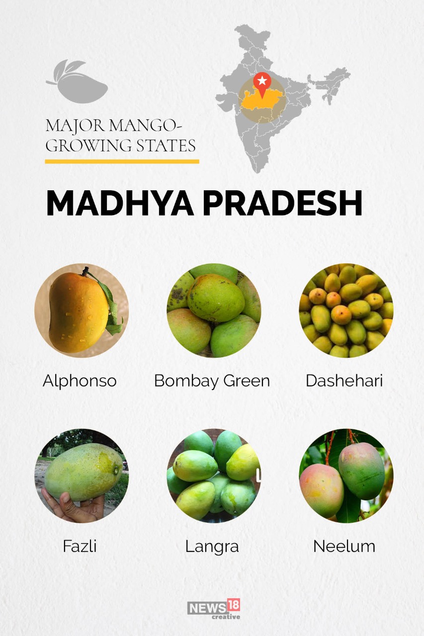 Love Mangoes? Here's The Mango Map of India - News18