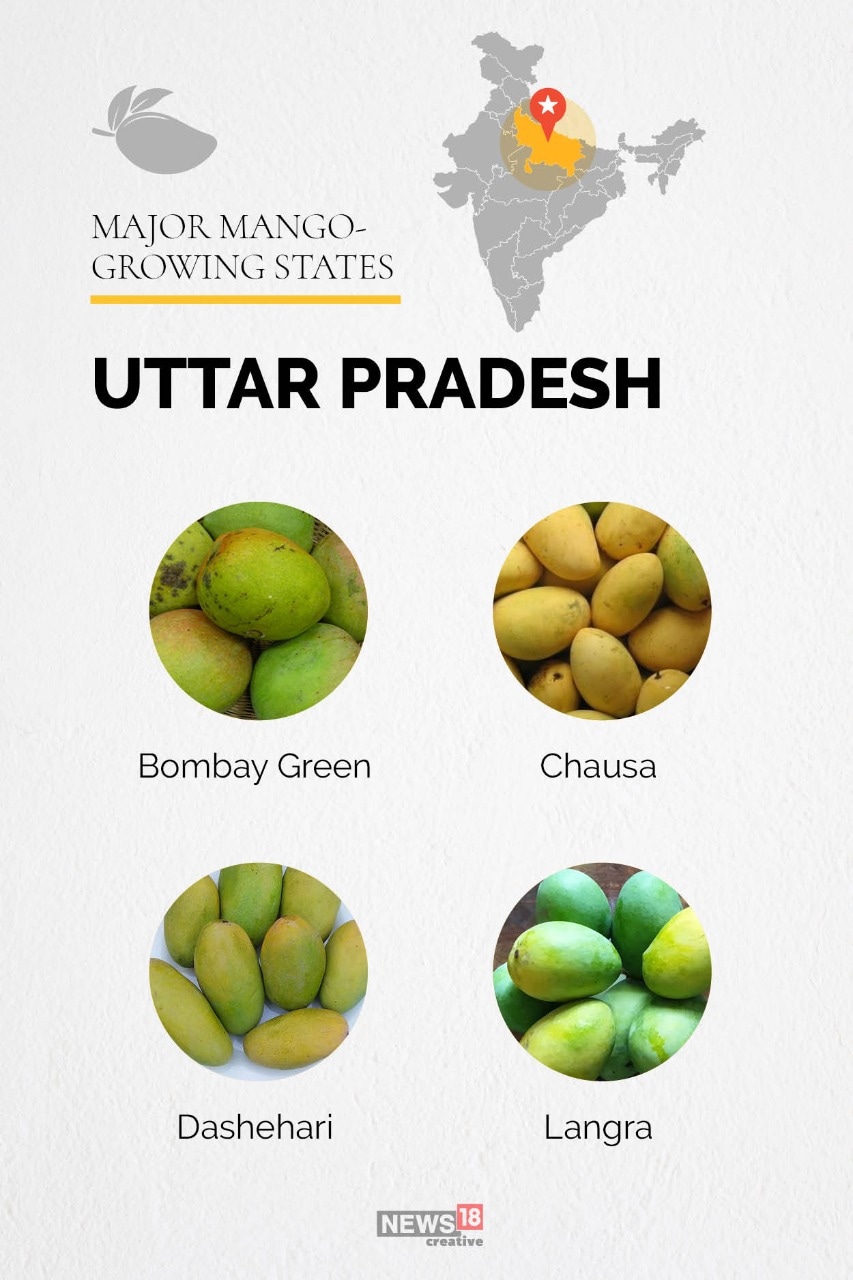 Love Mangoes? Here's The Mango Map of India - News18