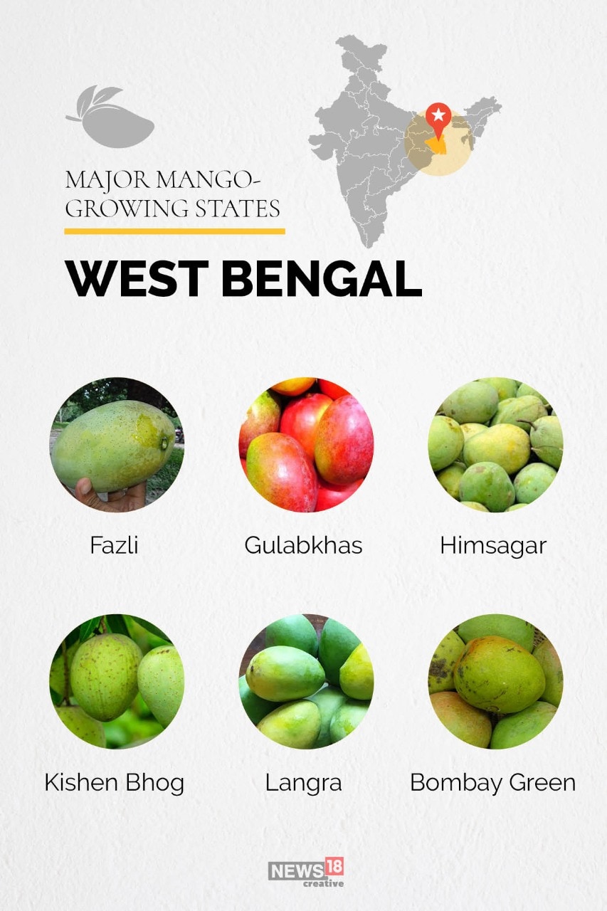 Love Mangoes? Here's The Mango Map of India - News18