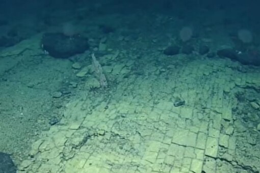 'Yellow Brick Road' Found Under Pacific Ocean Dubbed 'Path' to Mythical ...