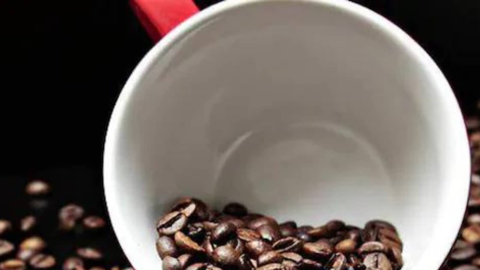 Jacu Bird Coffee, Grown In Brazil’s Camocim Estate, Costs A Staggering ...